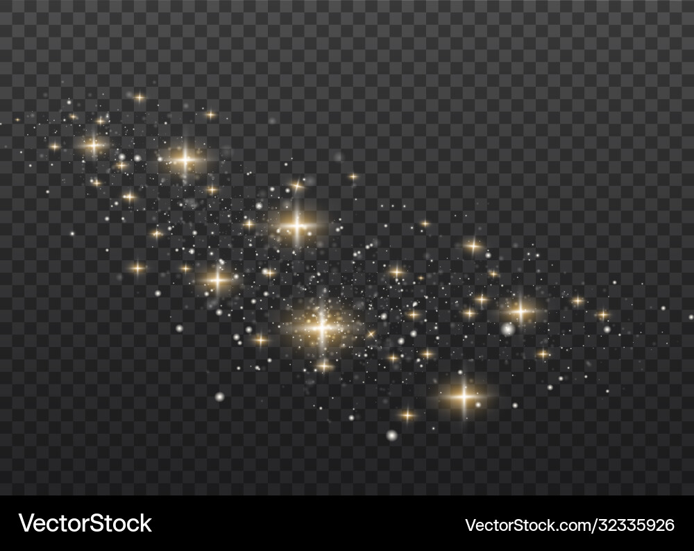 Sparkling dust particles Royalty Free Vector Image
