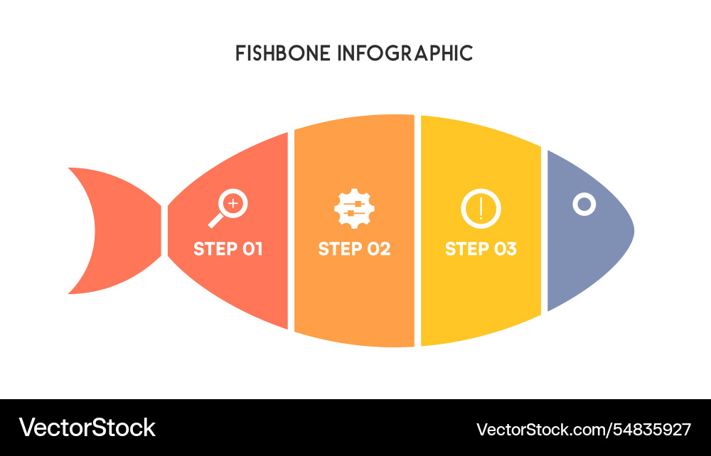Fishbone diagram infographic with three-step Vector Image