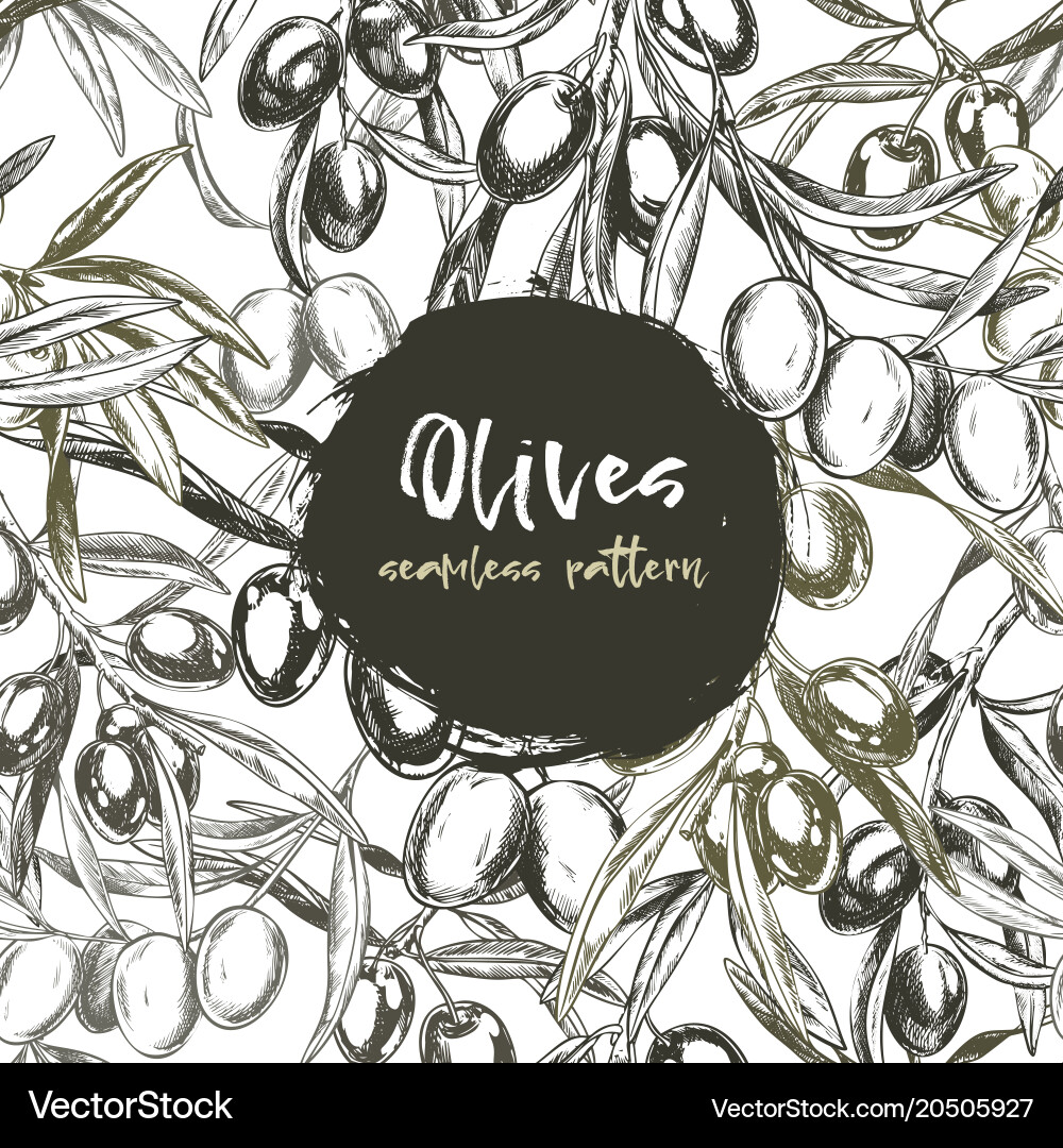 Olive branches hand drawn Royalty Free Vector Image