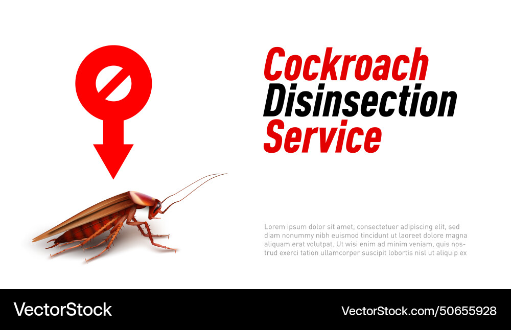 3d red and black cockroach disinsection service Vector Image