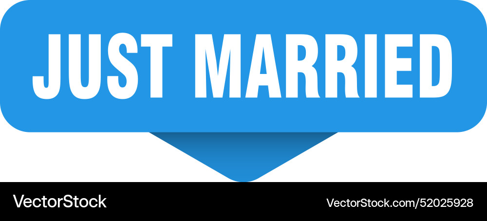 Just married sticker sign Royalty Free Vector Image