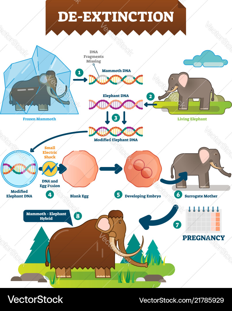 De-extinction infographic Royalty Free Vector Image
