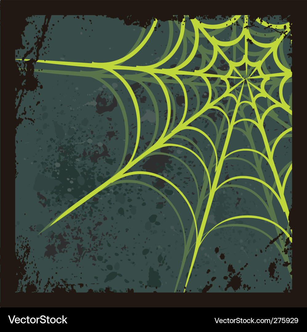 Spiderweb Royalty Free Vector Image - VectorStock