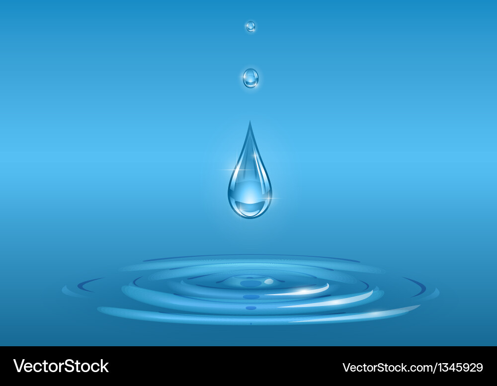 Water Drops Falling into Pure Water Royalty Free Vector