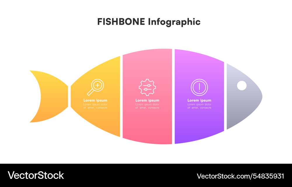 Fishbone diagram infographic with three-step Vector Image
