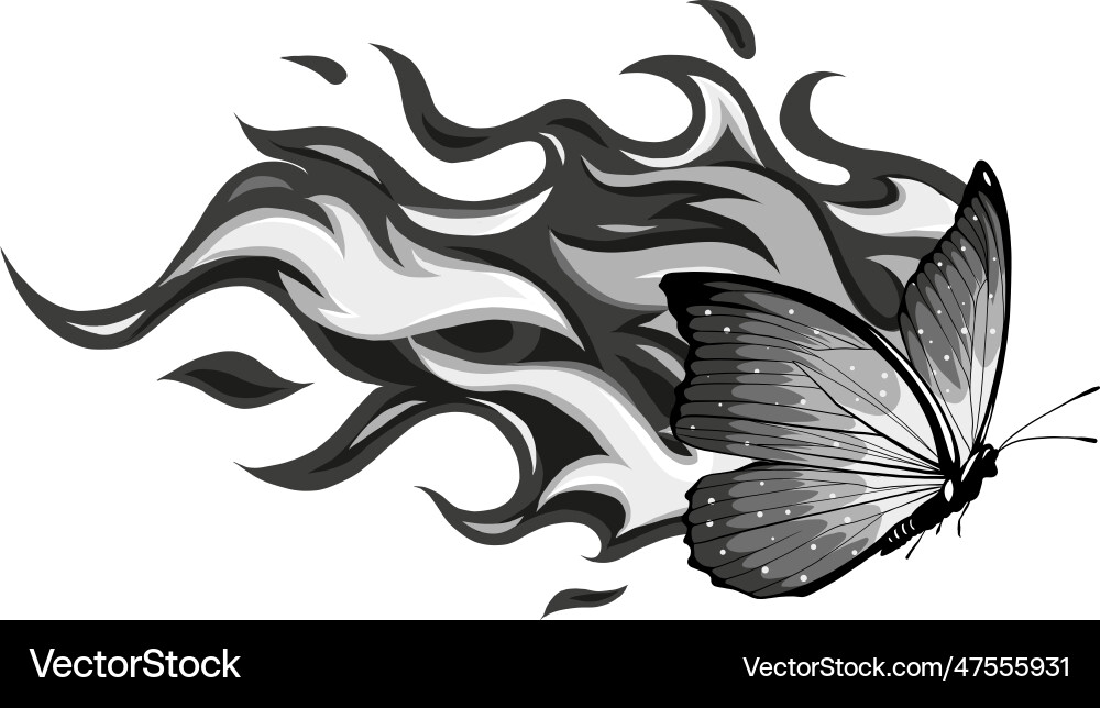 Monochrome butterfly with flames on white Vector Image