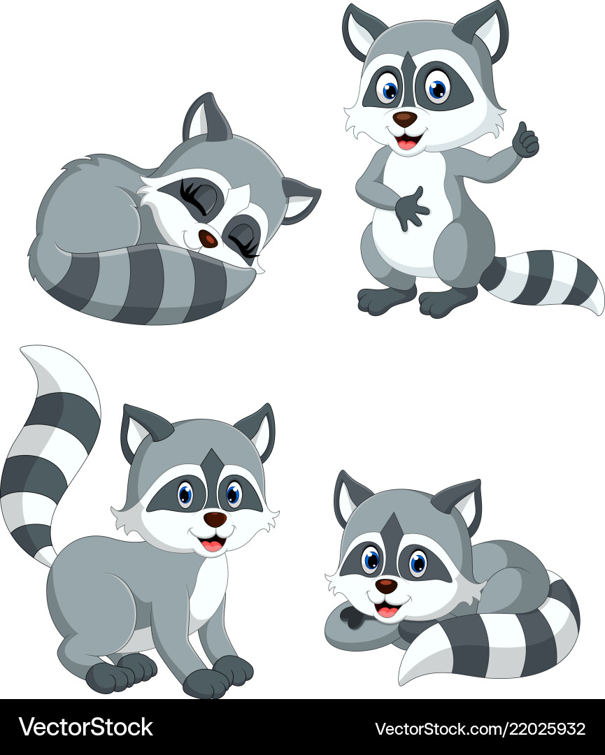 Collection of the grey racoon Royalty Free Vector Image