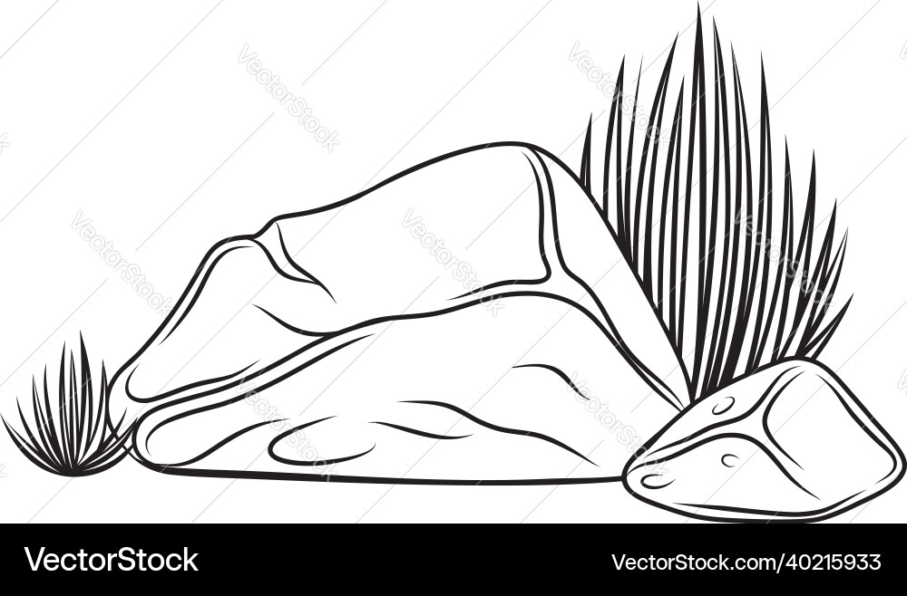 Outline stone with plant Royalty Free Vector Image