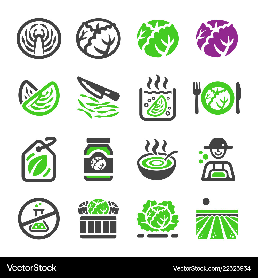 Cabbage icon Royalty Free Vector Image - VectorStock