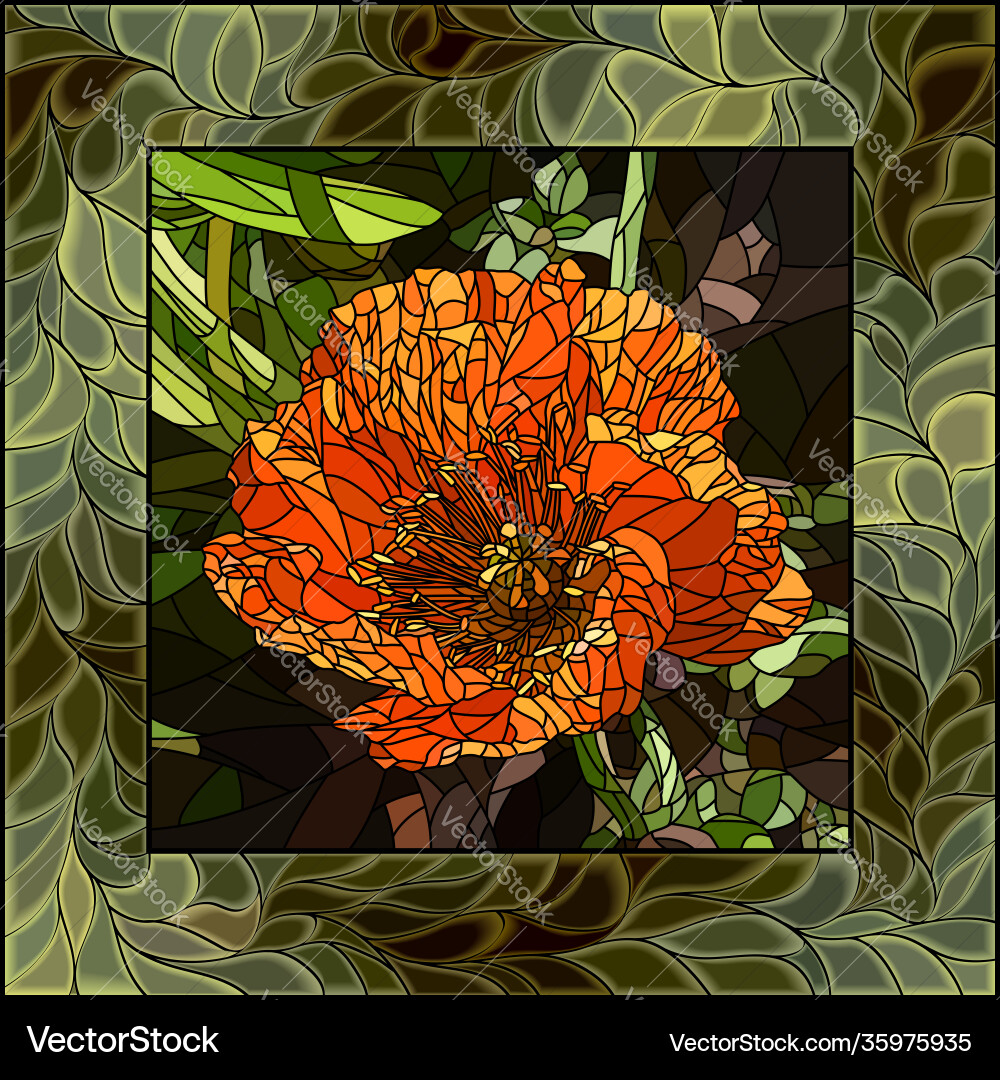 Flower poppy Royalty Free Vector Image - VectorStock