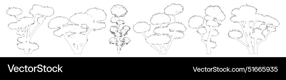 Garden bonsai contour decorative trees set Vector Image