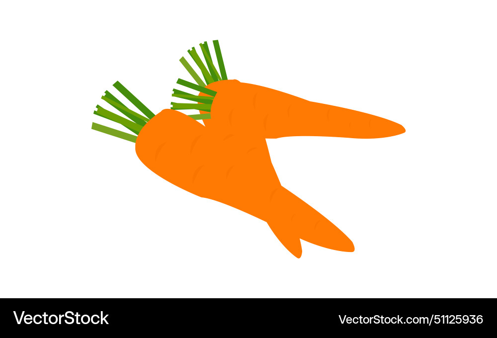 Carrot design Royalty Free Vector Image - VectorStock