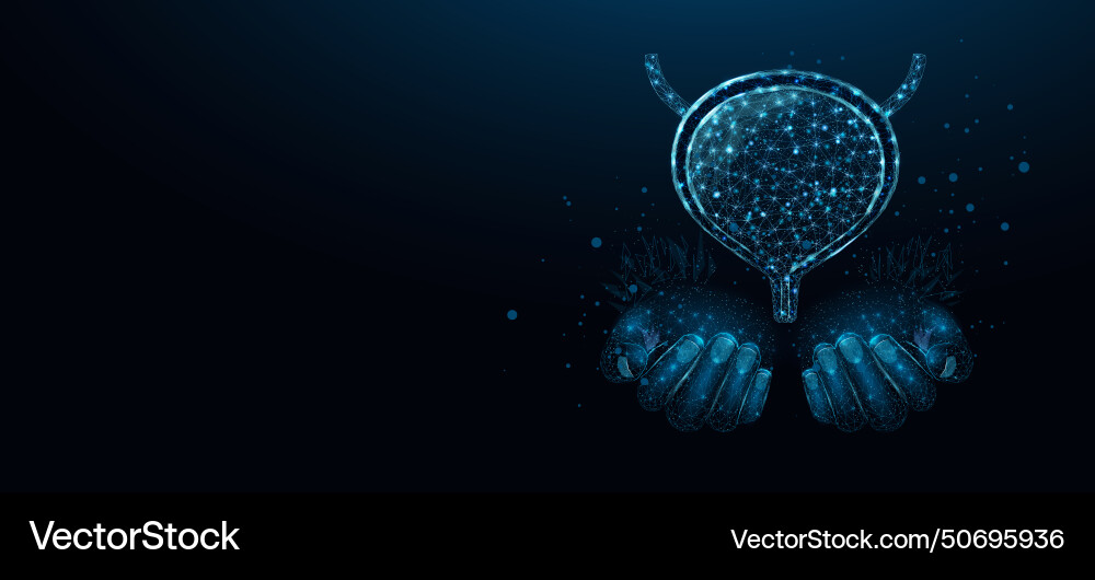 Two human hands are holds bladder medical Vector Image