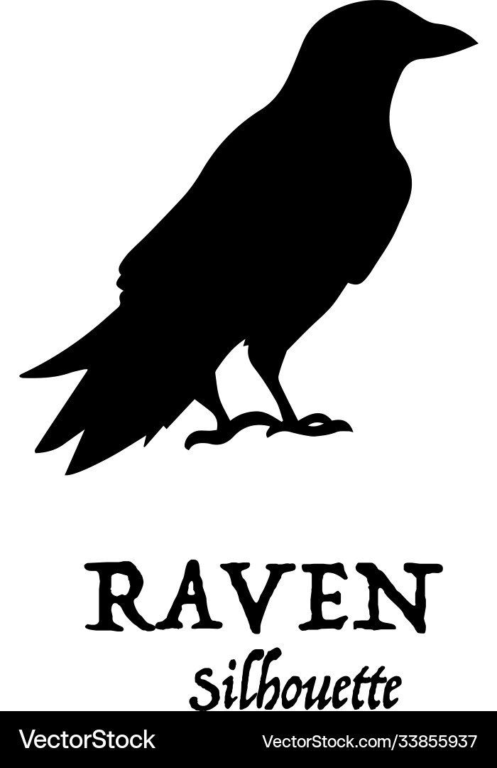 Standing raven silhouette in halloween elements Vector Image