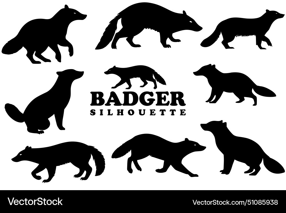 Badger Royalty Free Vector Image - VectorStock