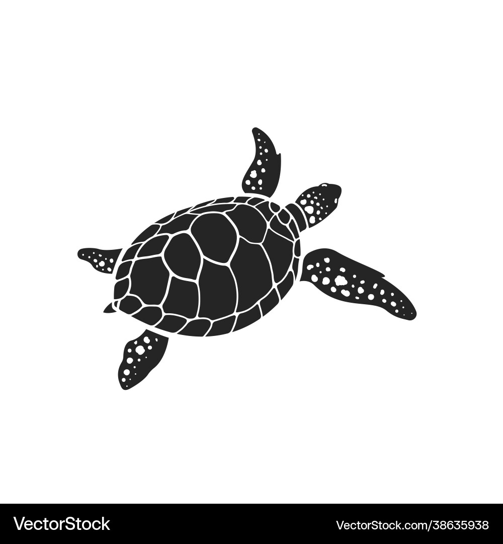 Cute Turtle Logo on White Background Royalty Free Vector