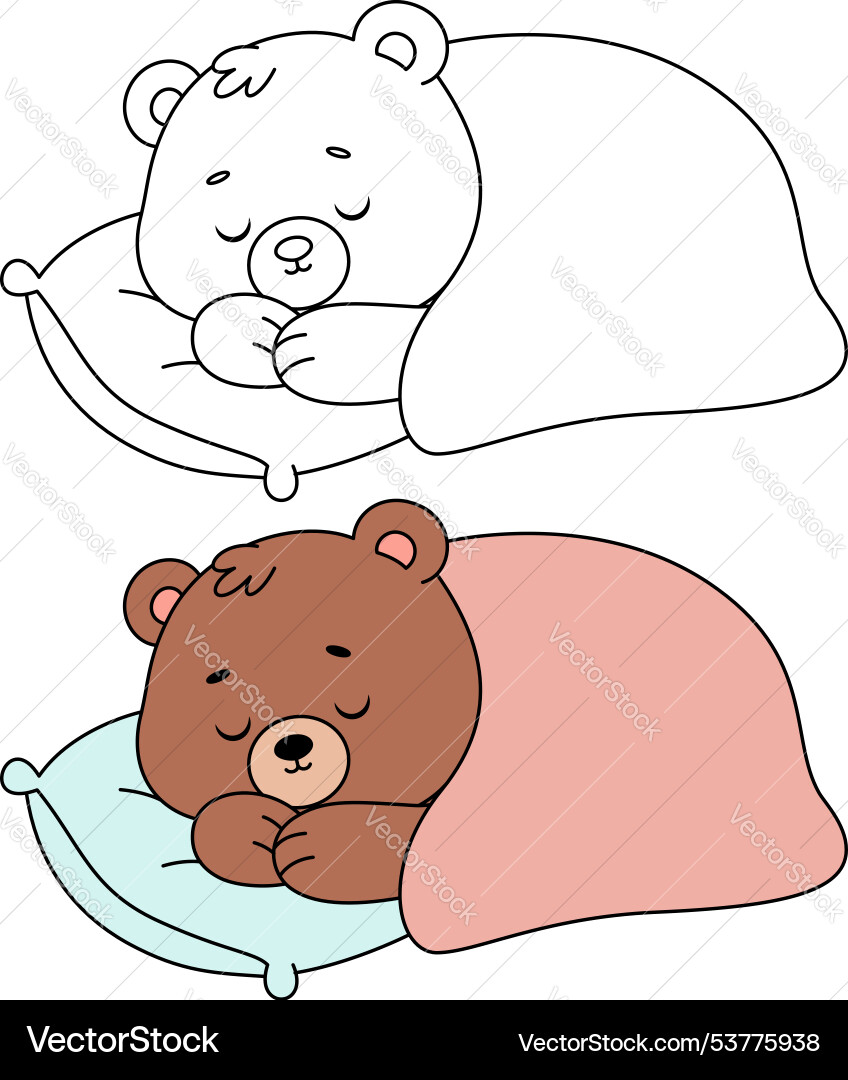 Hibernating Bear Coloring Page Royalty Free Vector Image