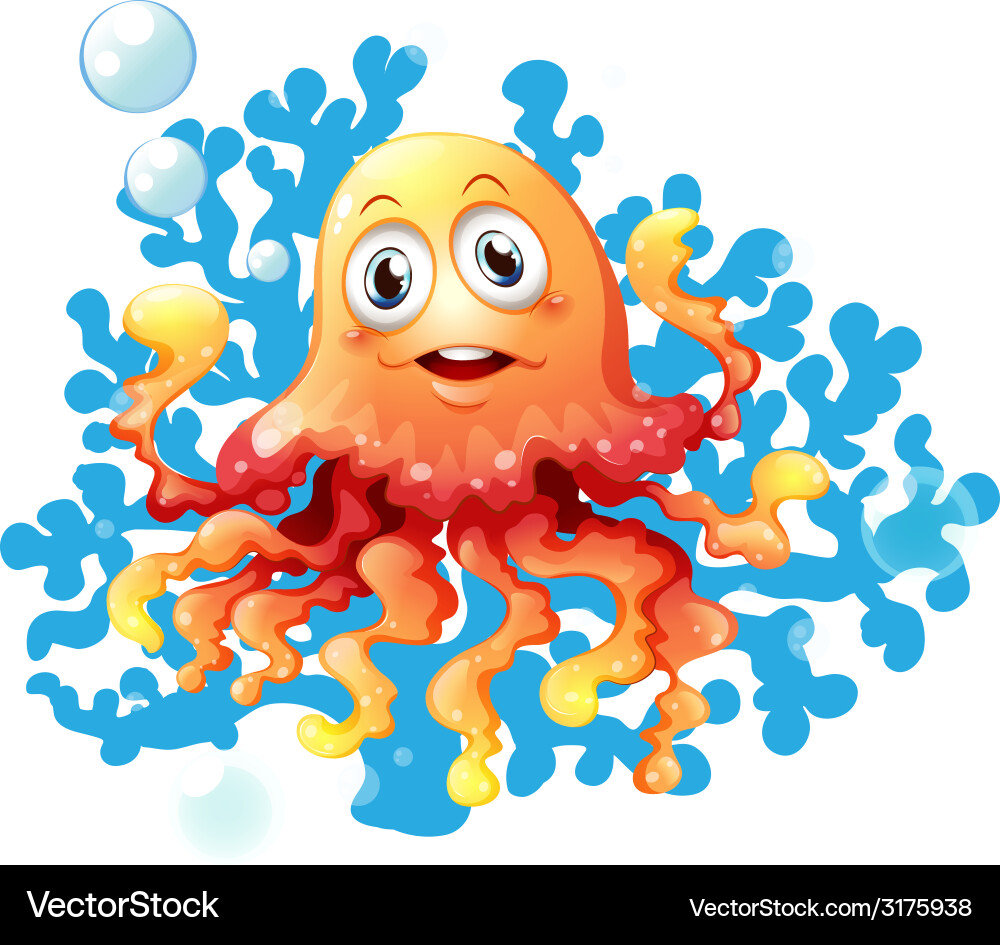 Jelly fish Royalty Free Vector Image - VectorStock