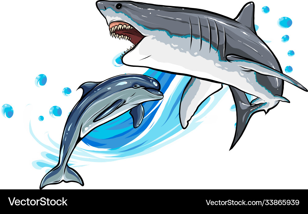 Dolphin and shark funny cartoon Royalty Free Vector Image
