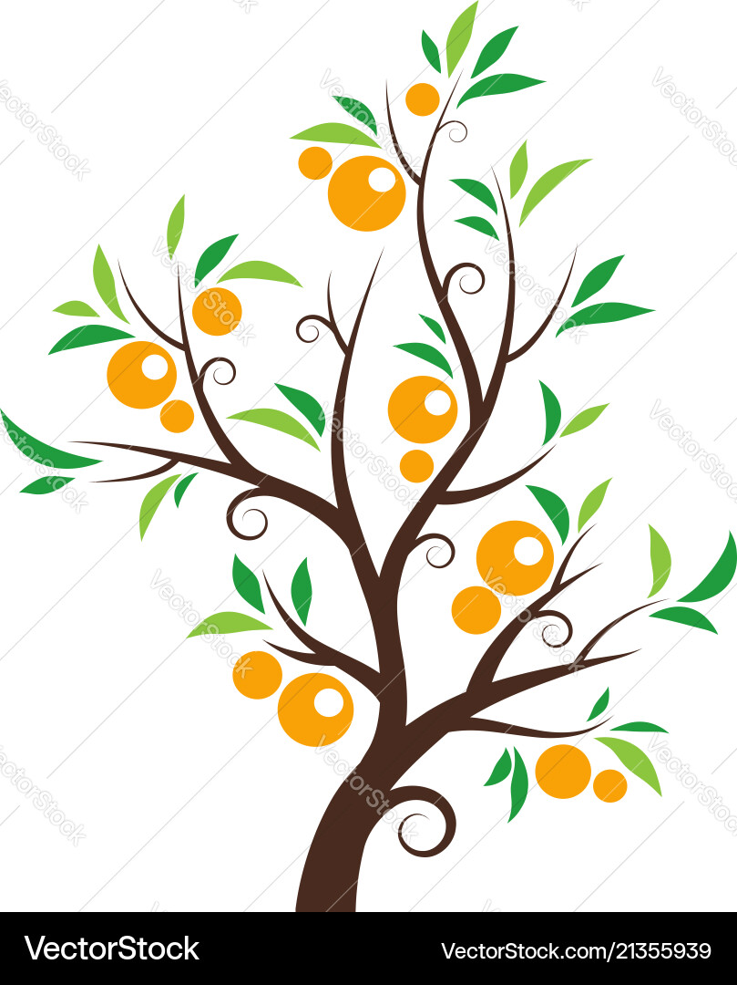 Orange tree isolated on white background Vector Image