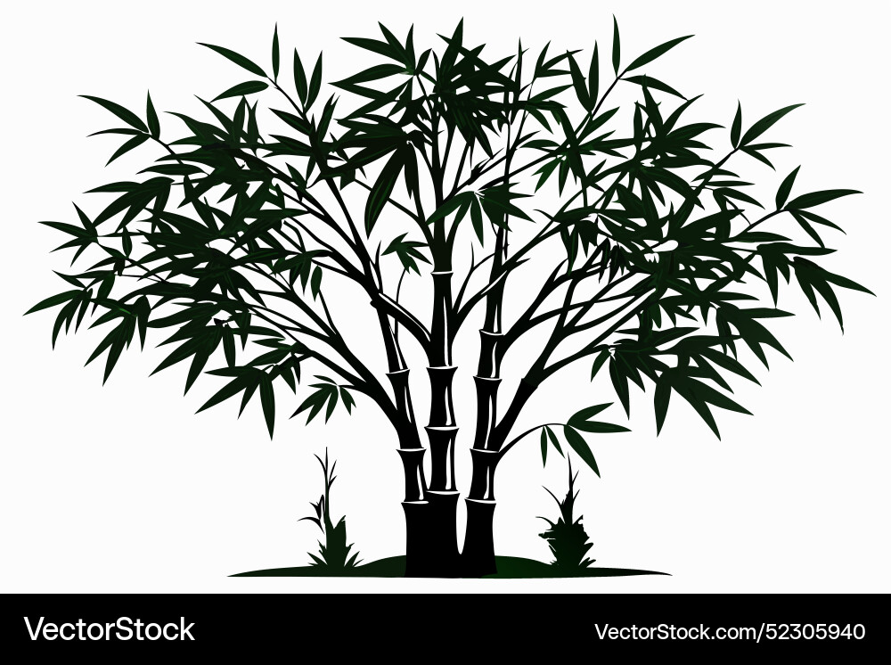 Bamboo garden tree silhouette s Royalty Free Vector Image