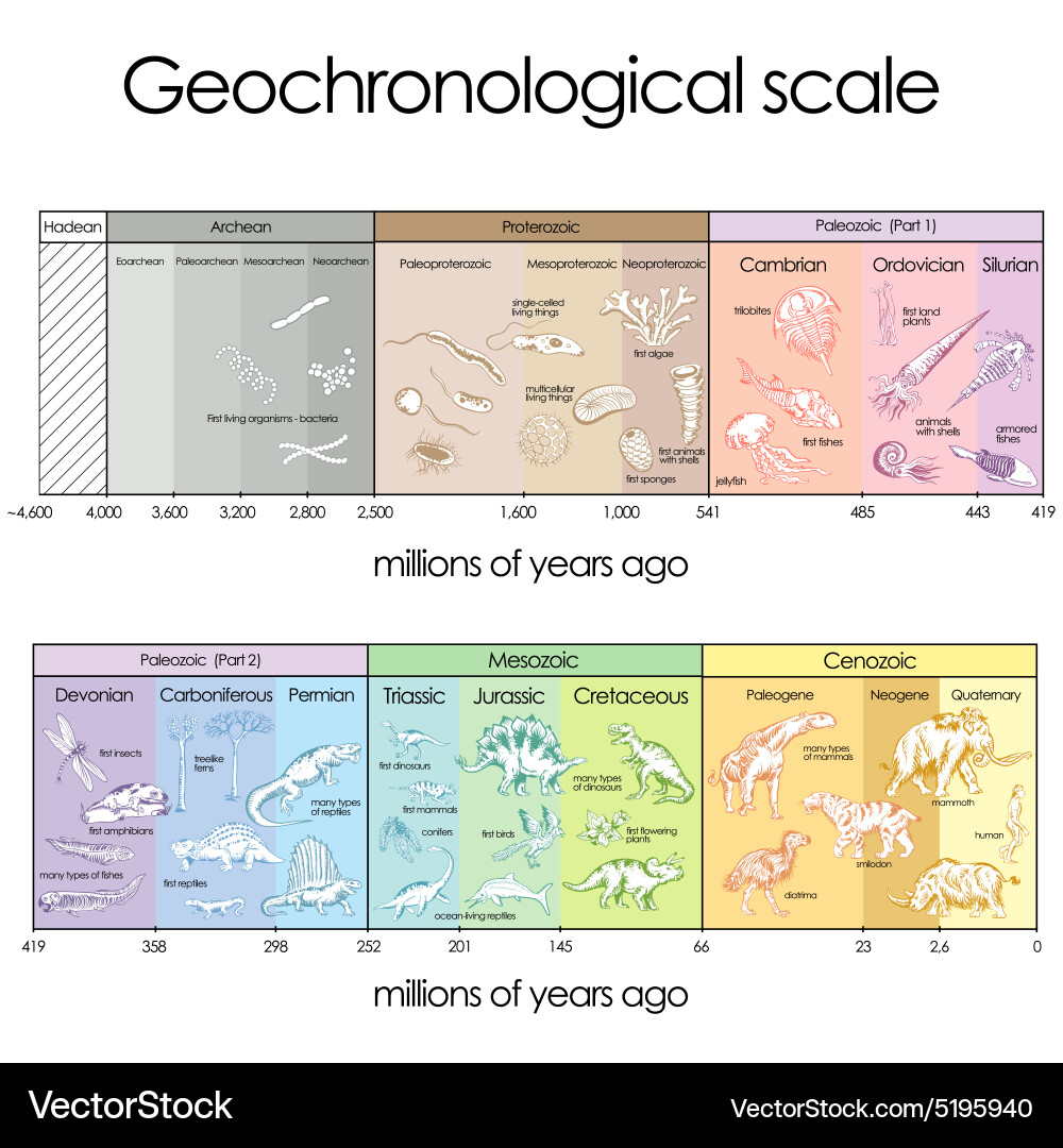 Geochronological scale Royalty Free Vector Image
