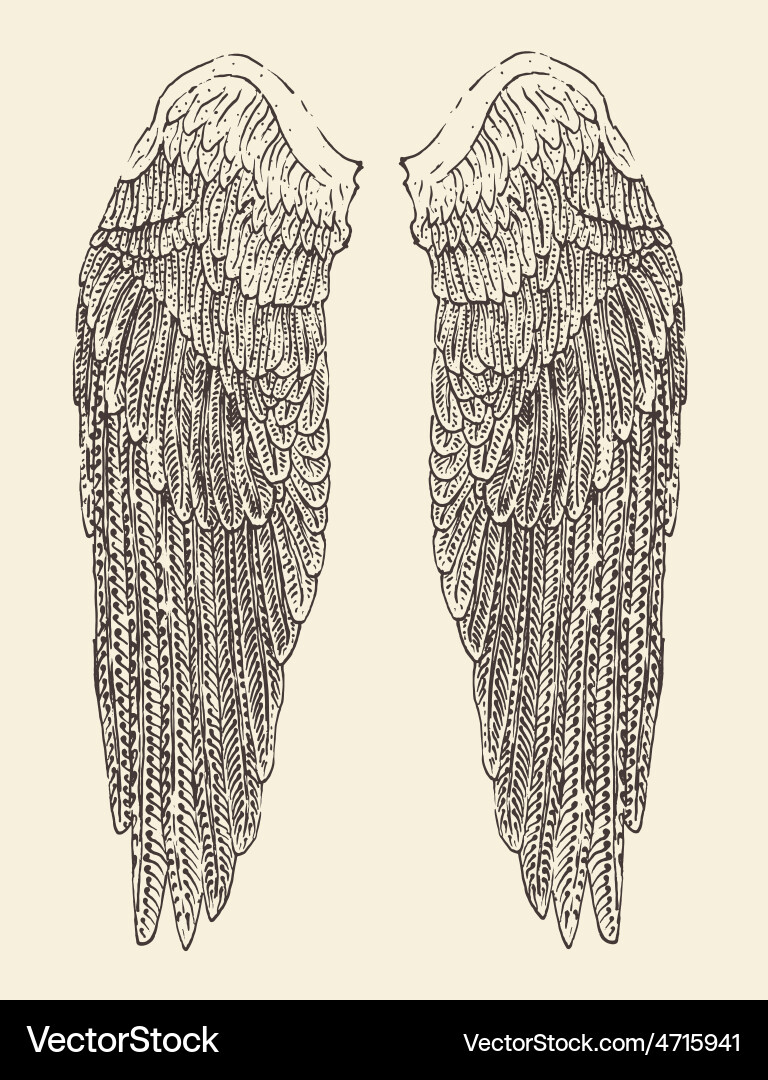 Engraved Angel Wings Sketch Royalty Free Vector Image