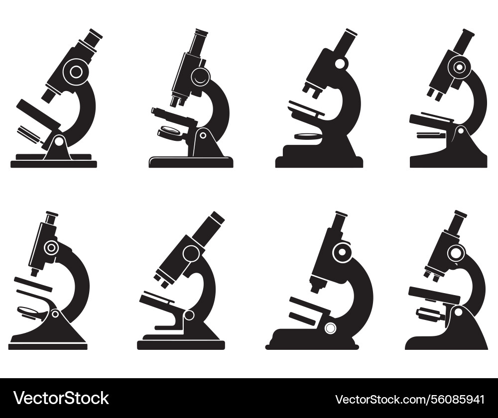 Microscope silhouette Royalty Free Vector Image