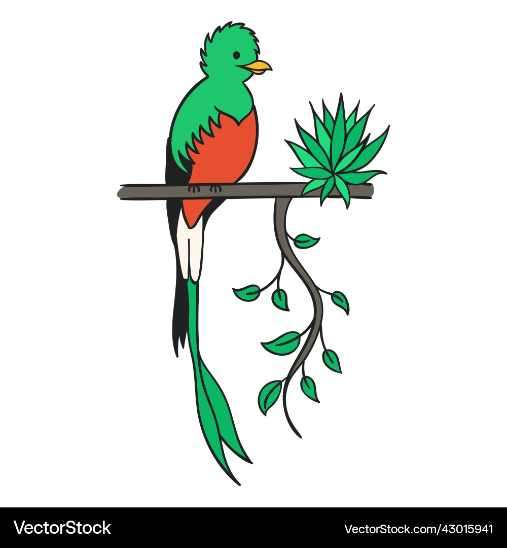 Quetzal guatemala flat Royalty Free Vector Image