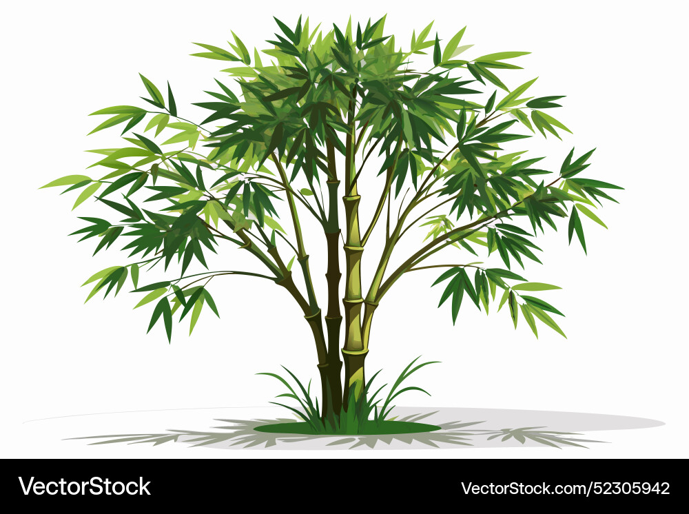 Bamboo garden tree silhouette u Royalty Free Vector Image