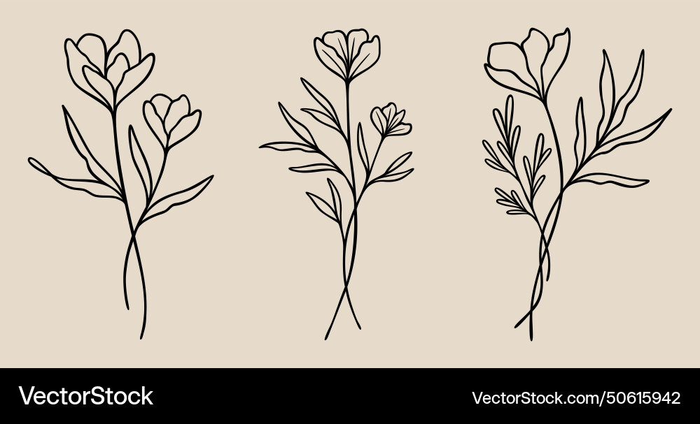Wildflower line art bouquet bundle Royalty Free Vector Image