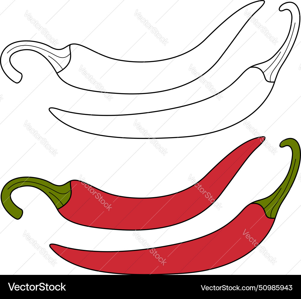 Chilli outline coloring page for kids Royalty Free Vector