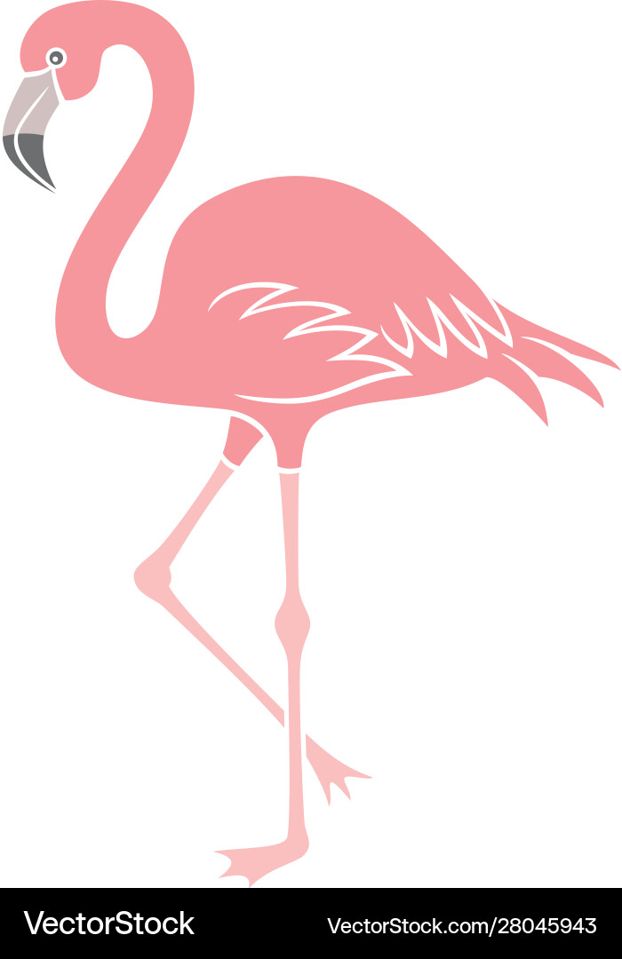 Pink Flamingo Icon Royalty Free Vector Image - VectorStock
