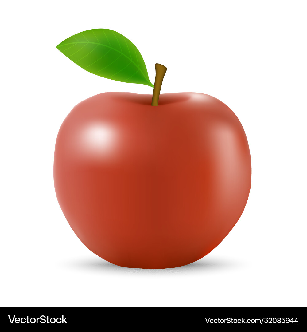 Realistic 3d apple isolated template for your Vector Image