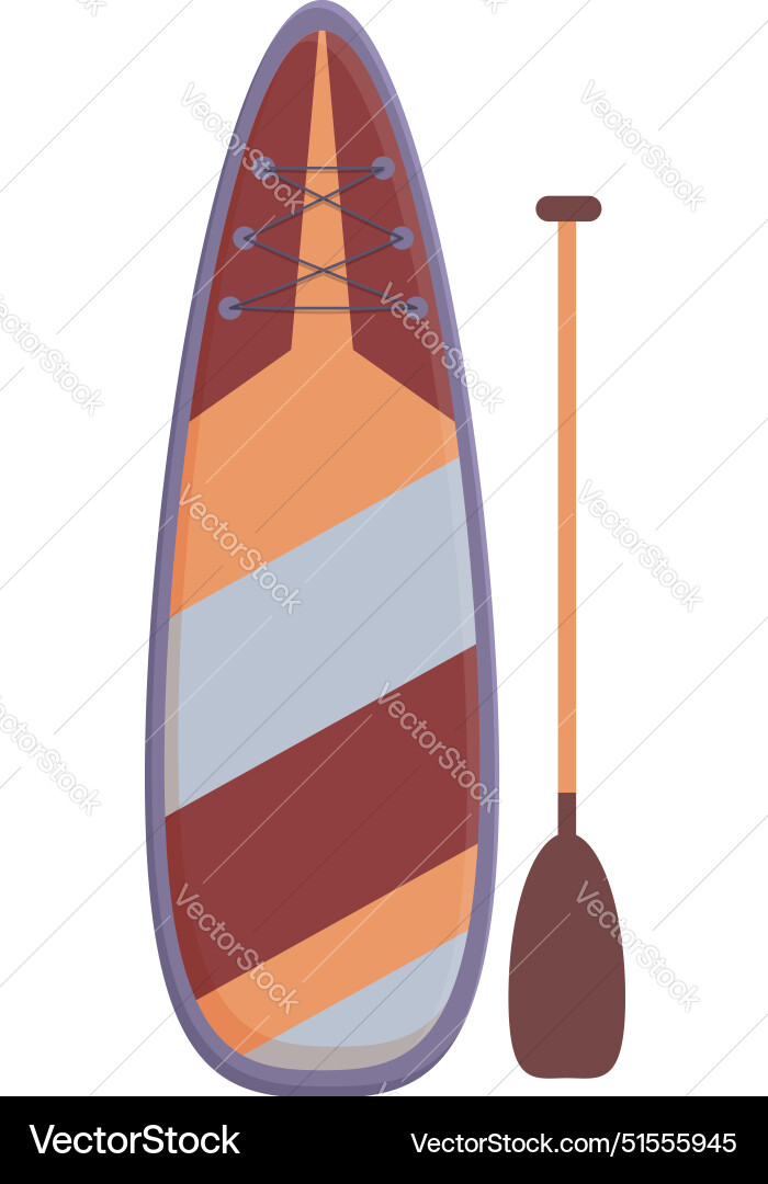 Paddle board and oar for practicing water sports Vector Image