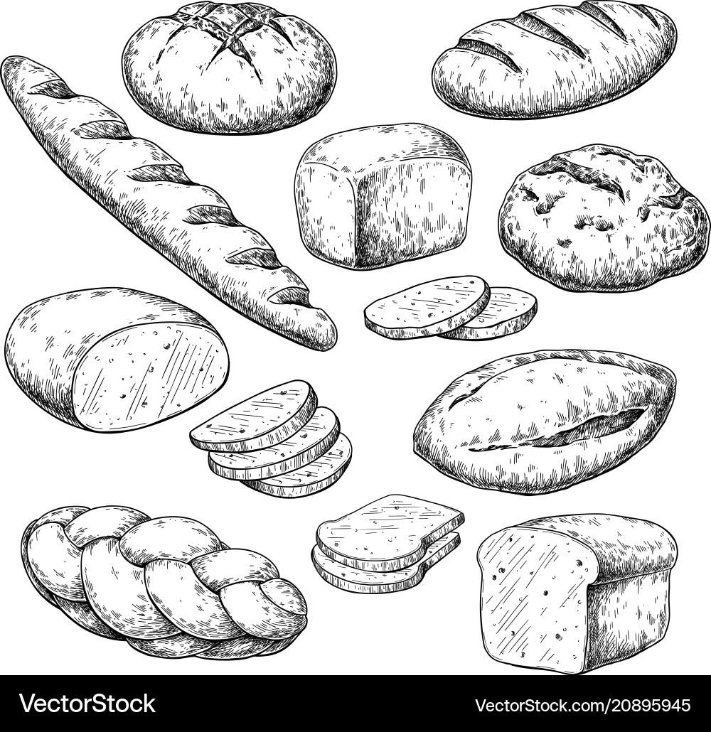 Rustic Bread Sketch Royalty Free Vector Image - VectorStock