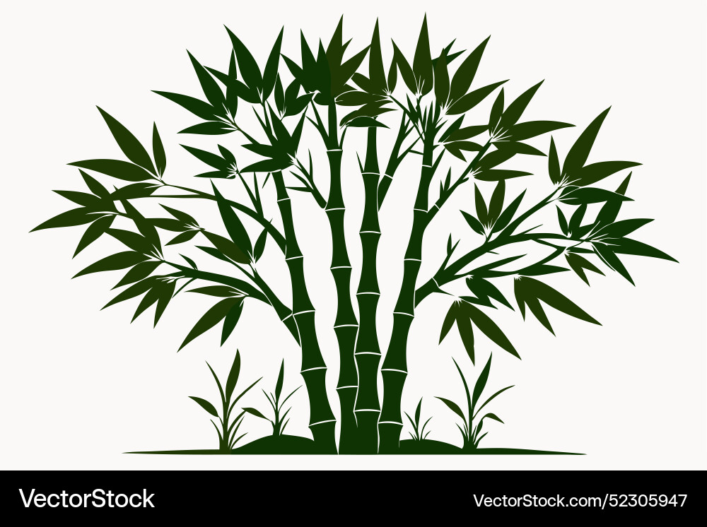 Bamboo garden tree silhouette z Royalty Free Vector Image