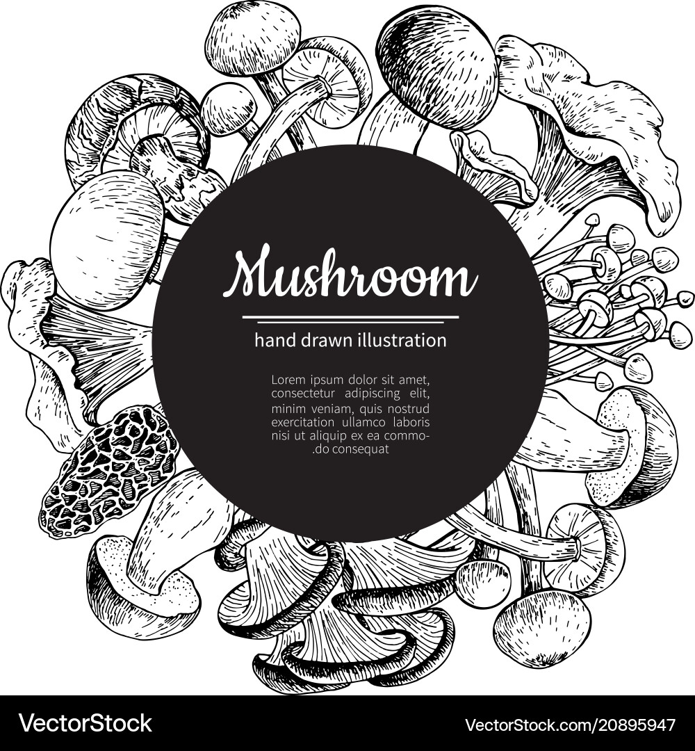 Mushroom Sketch Frame - Diverse Fungi Royalty Free Vector