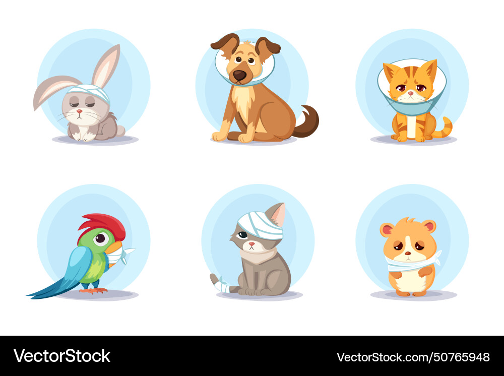 Veterinary sick animals veterinarian treatment Vector Image