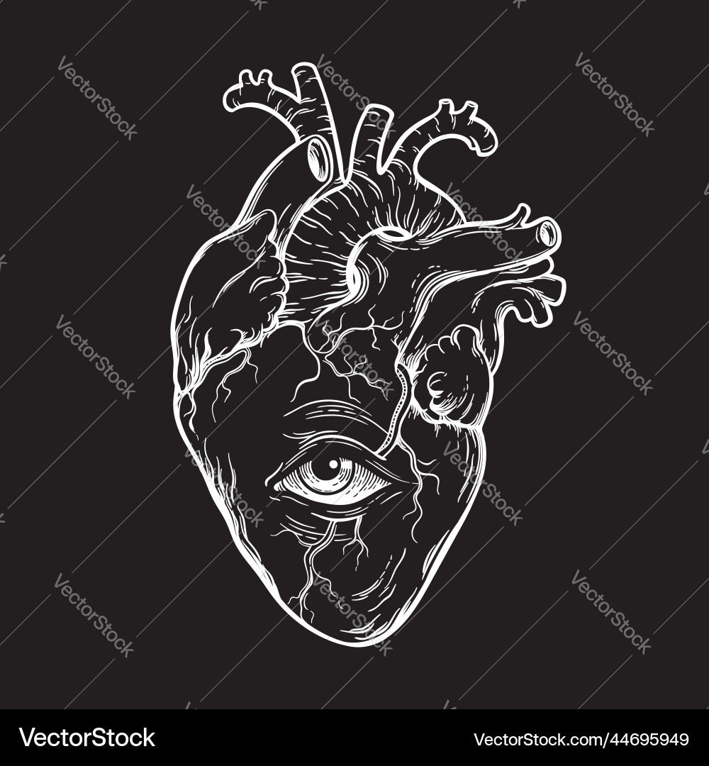 Anatomically correct human heart with eye Vector Image