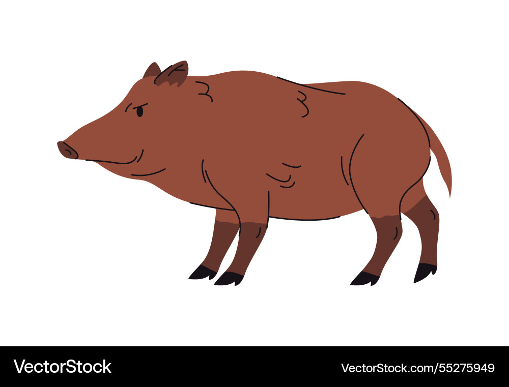 Forest animals hog boar or wild pig portrait Vector Image