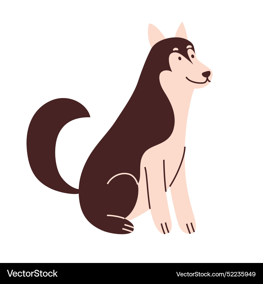 Husky dog cute cartoon pet Royalty Free Vector Image