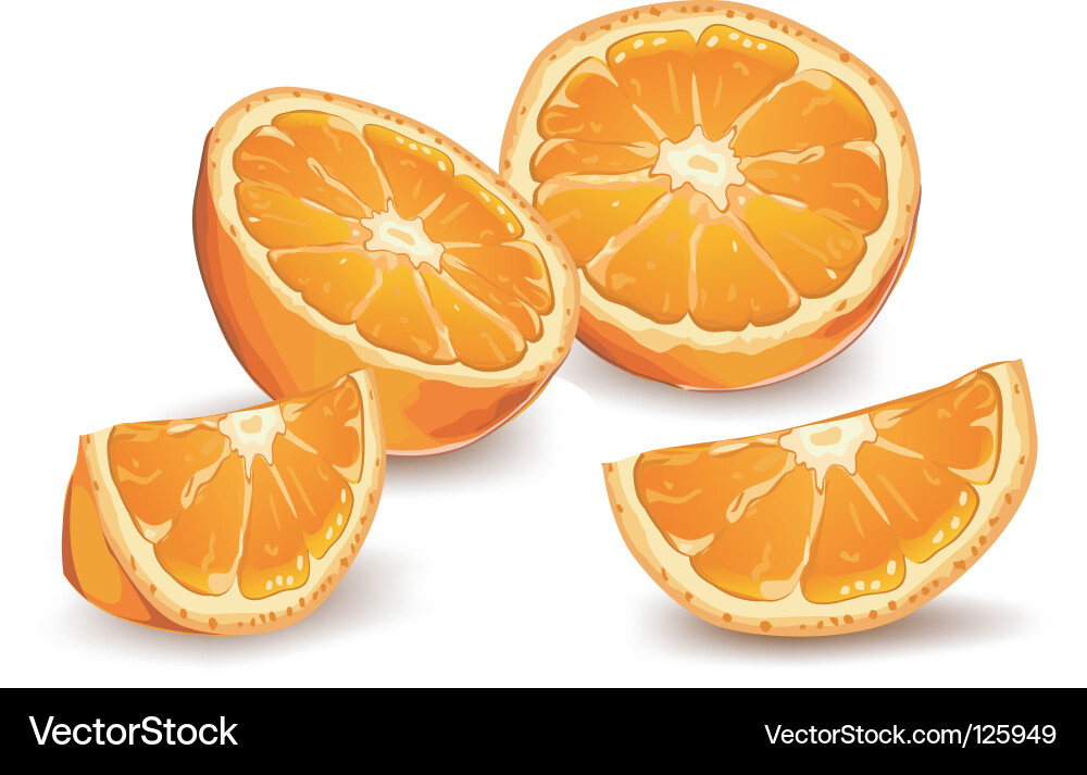 Orange Royalty Free Vector Image - VectorStock