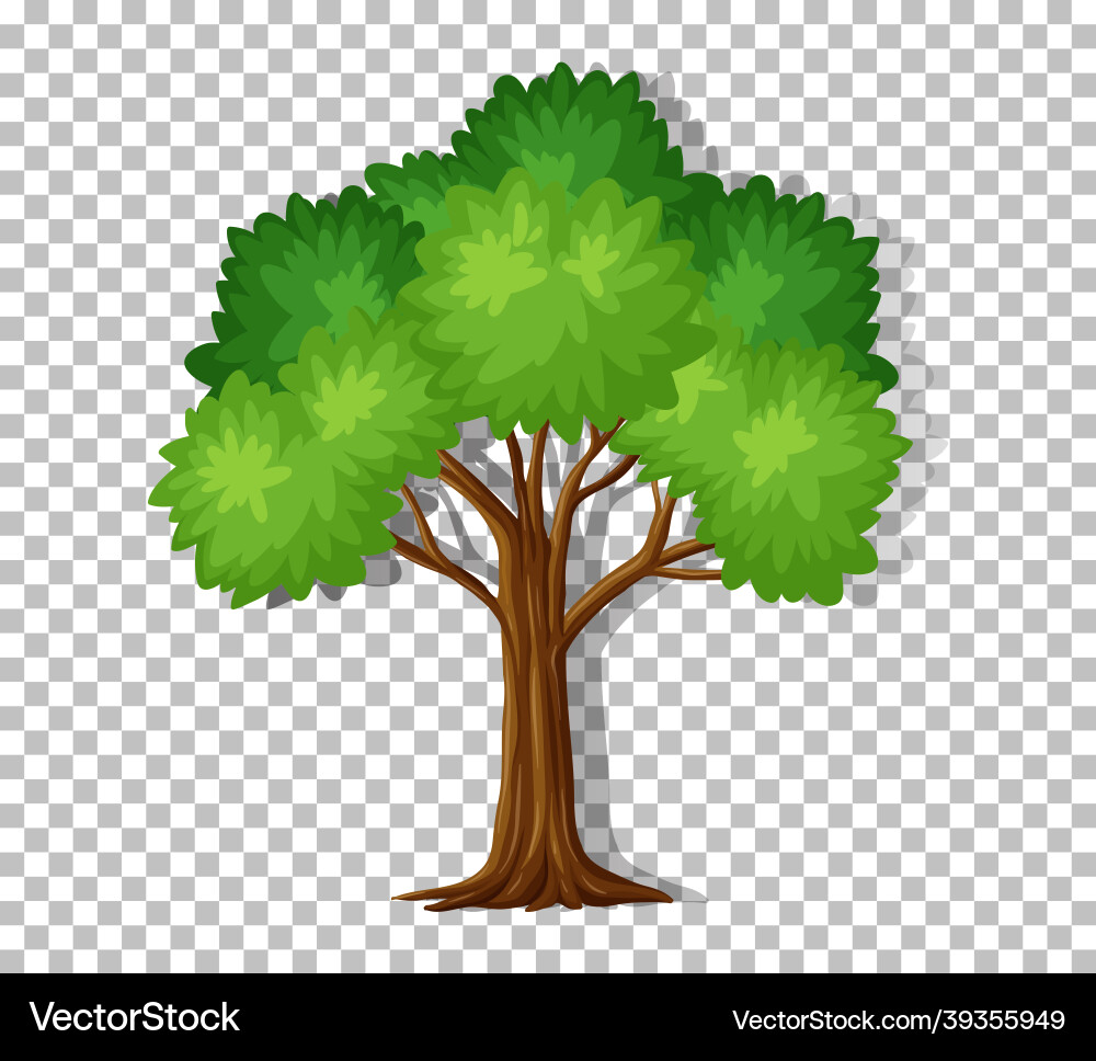Single tree with green leaves on transparent Vector Image