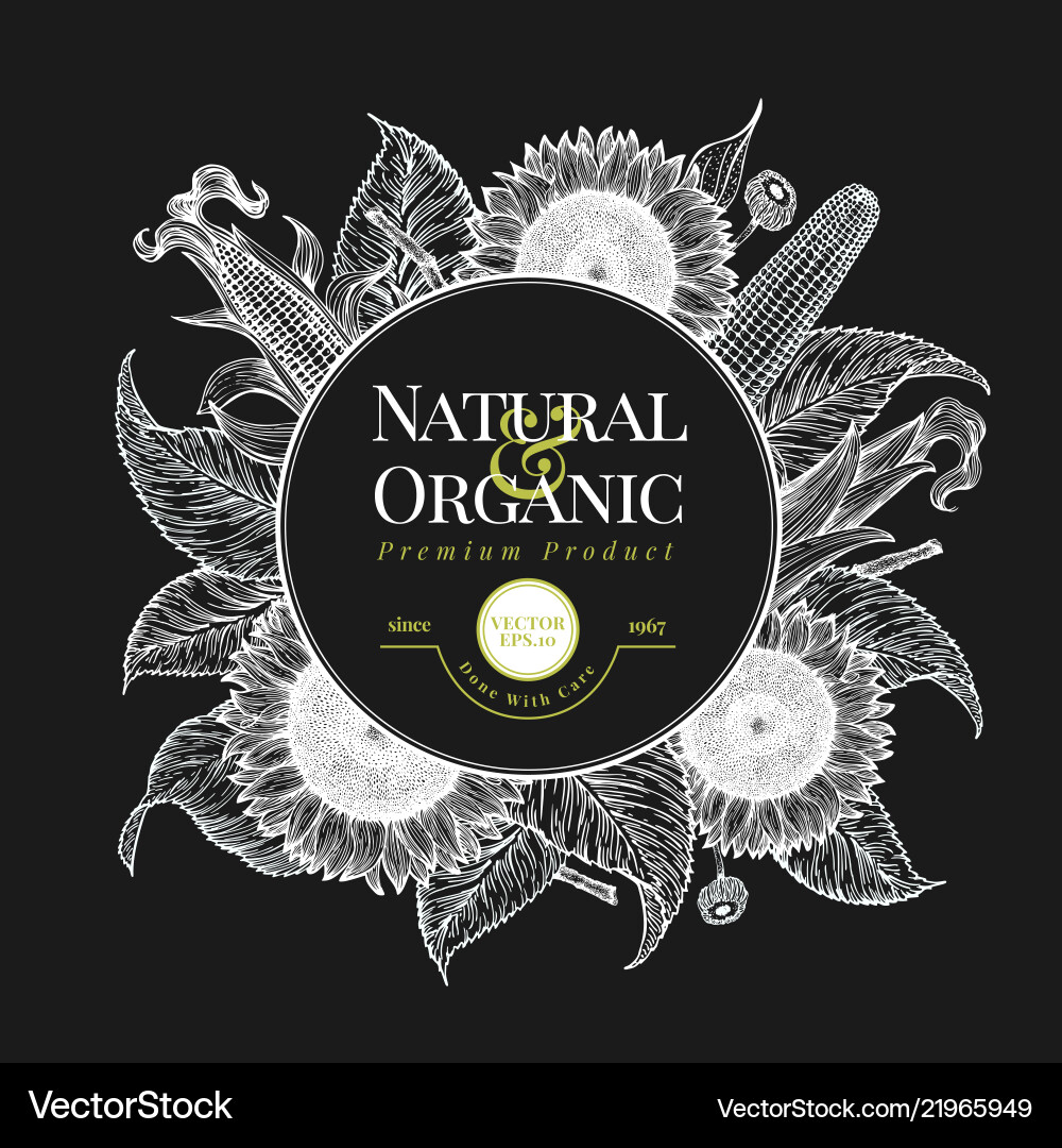 Sunflower and corn logo template card Royalty Free Vector