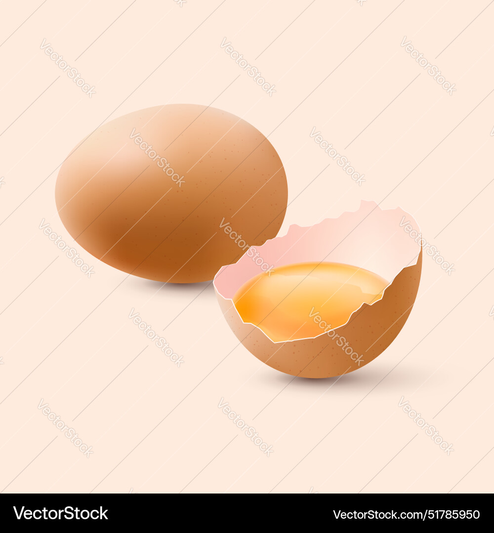 Chicken eggs Royalty Free Vector Image - VectorStock