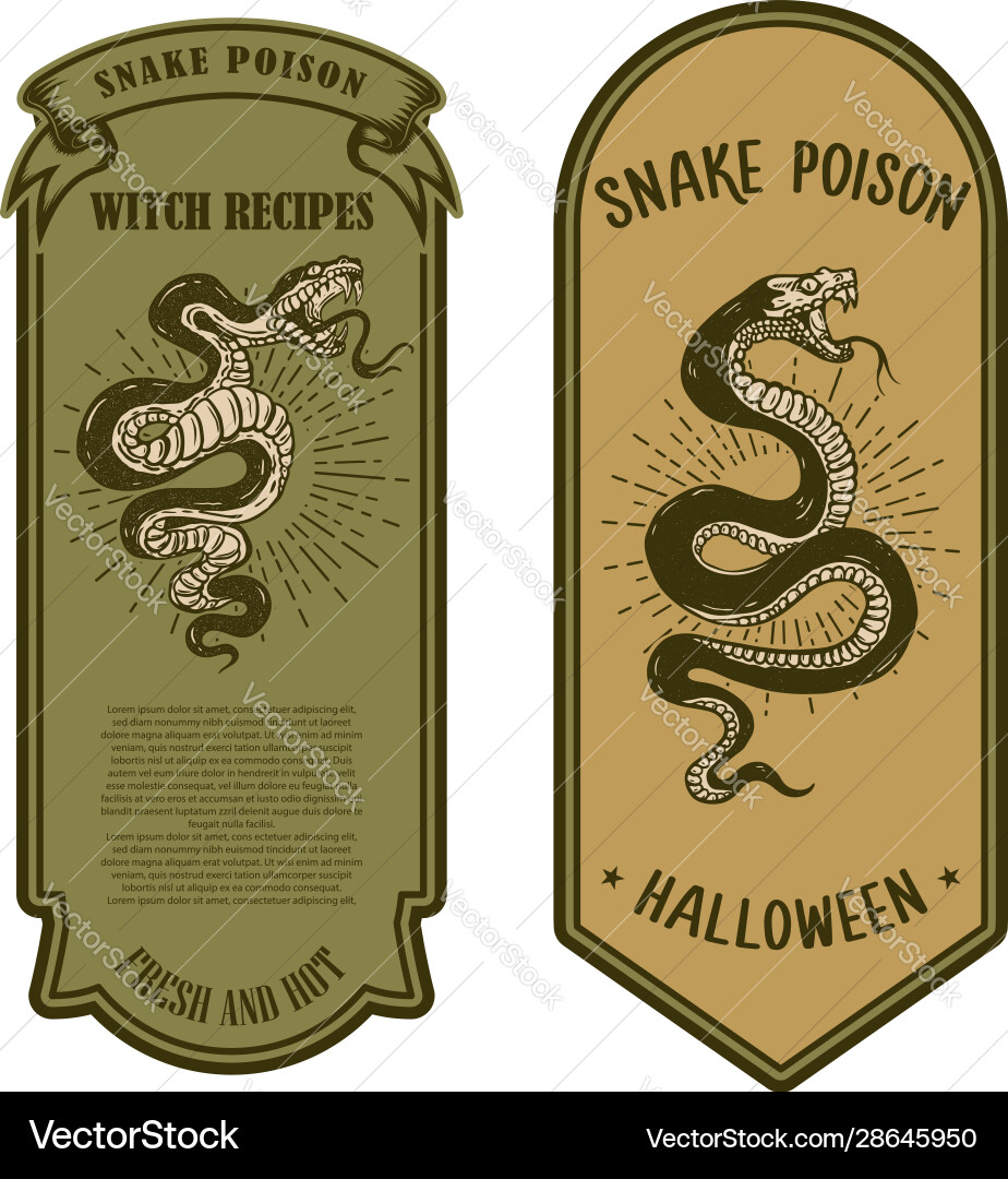 Halloween snake poison bottle label template Vector Image