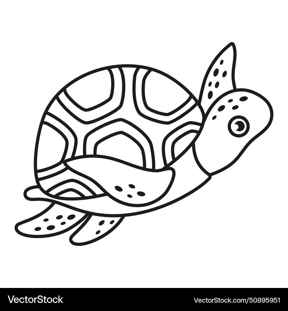 Black and white cartoon turtle Royalty Free Vector Image