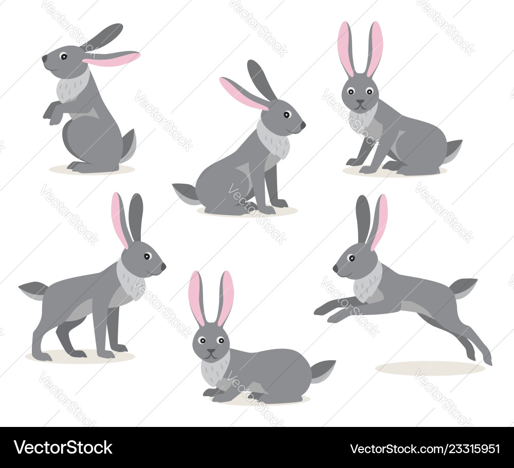 Set of cute gray hare in different pose on white Vector Image