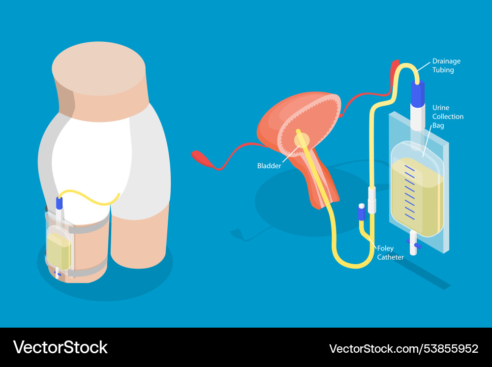 3d isometric flat of drainage Royalty Free Vector Image
